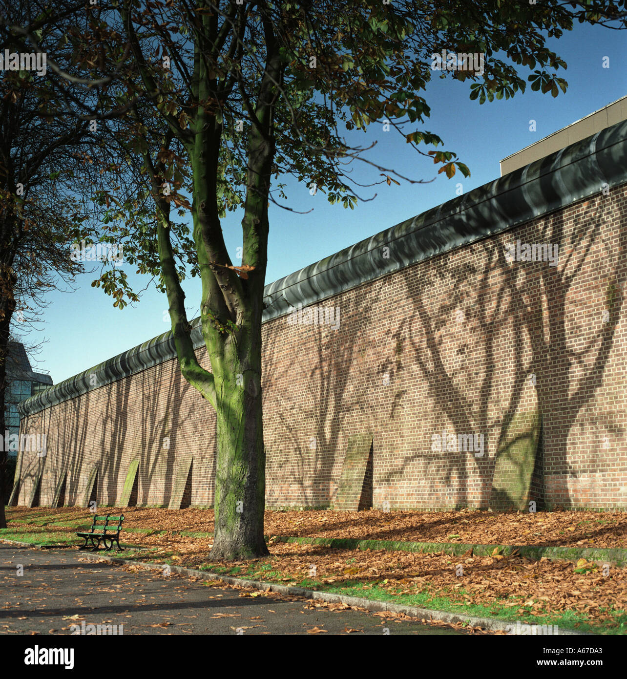 Shadows from trees onto a wall Stock Photo - Alamy