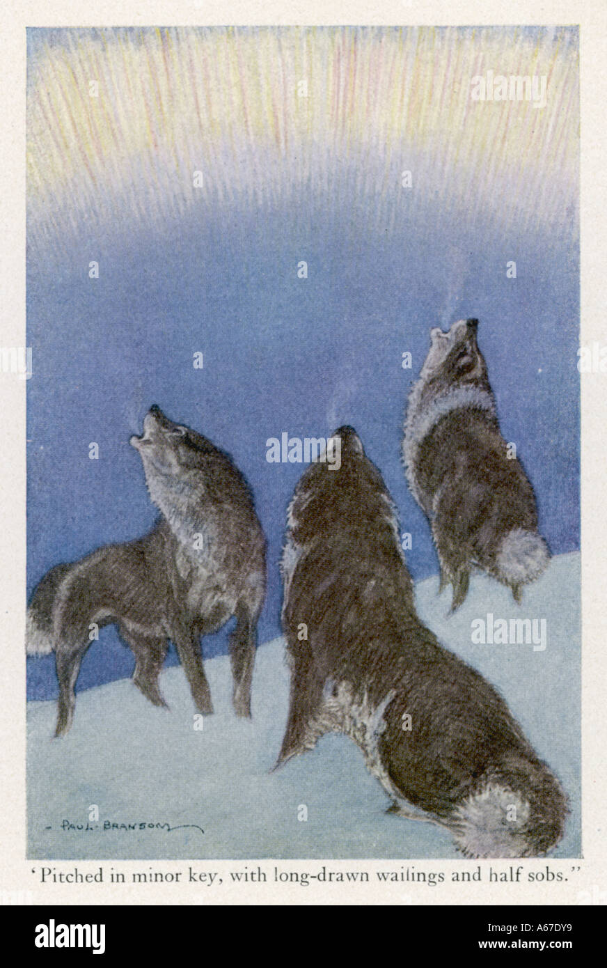 The call of the wild jack london hi-res stock photography and images ...