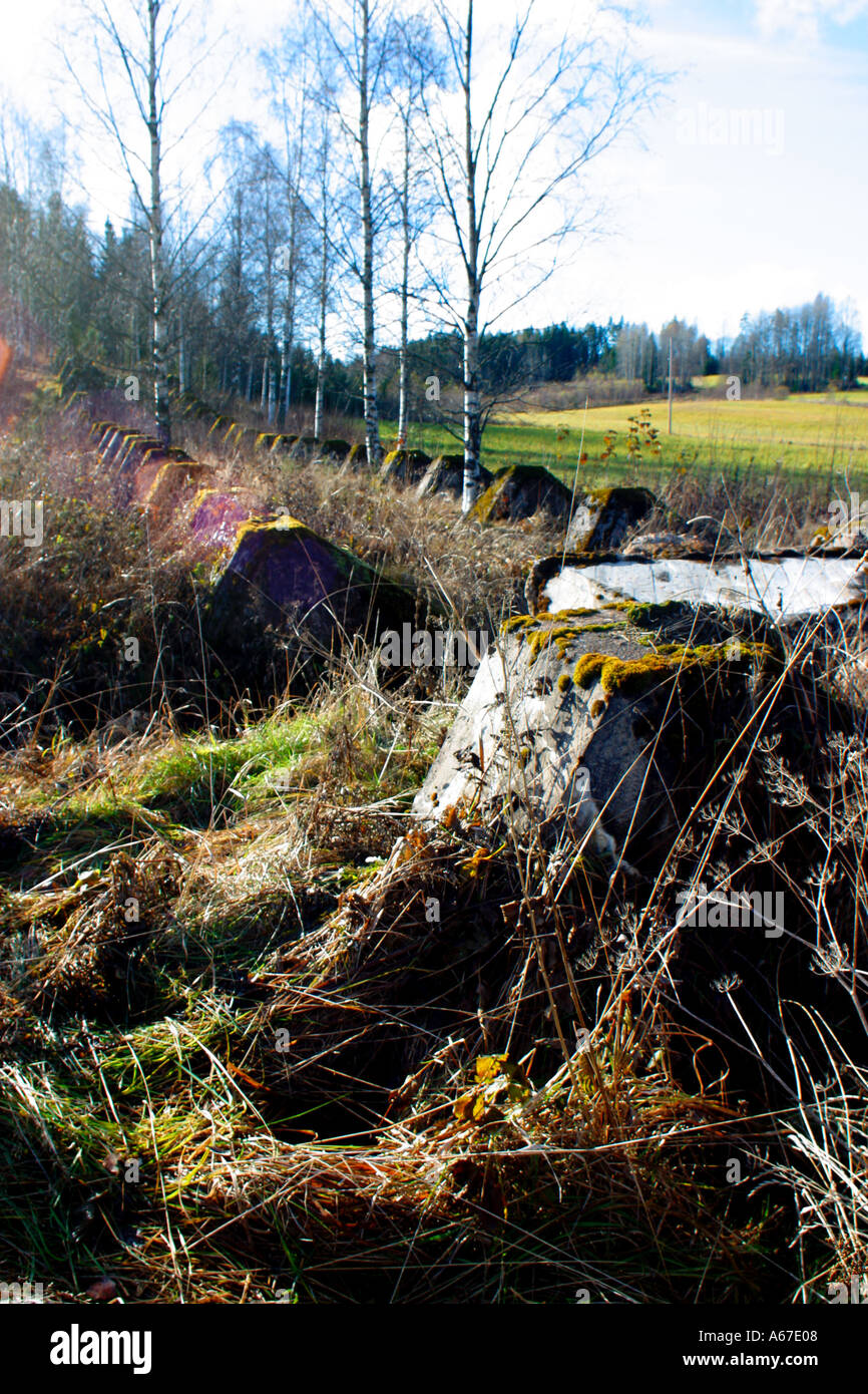 Concrete pillars covered with moss Stock Photo - Alamy