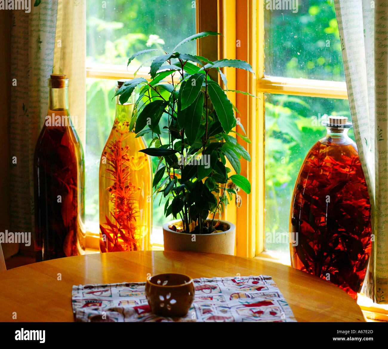 Pickles in window Stock Photo - Alamy