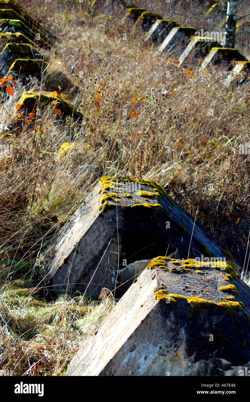 Concrete pillars in a row covered with moss Stock Photo - Alamy