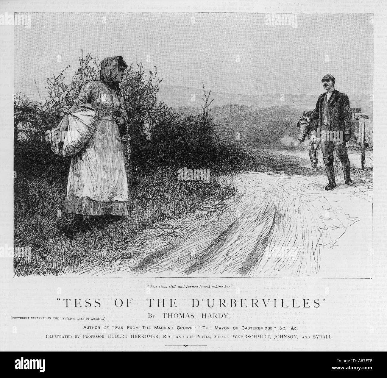 Tess of the durbervilles hardy hi-res stock photography and images - Alamy