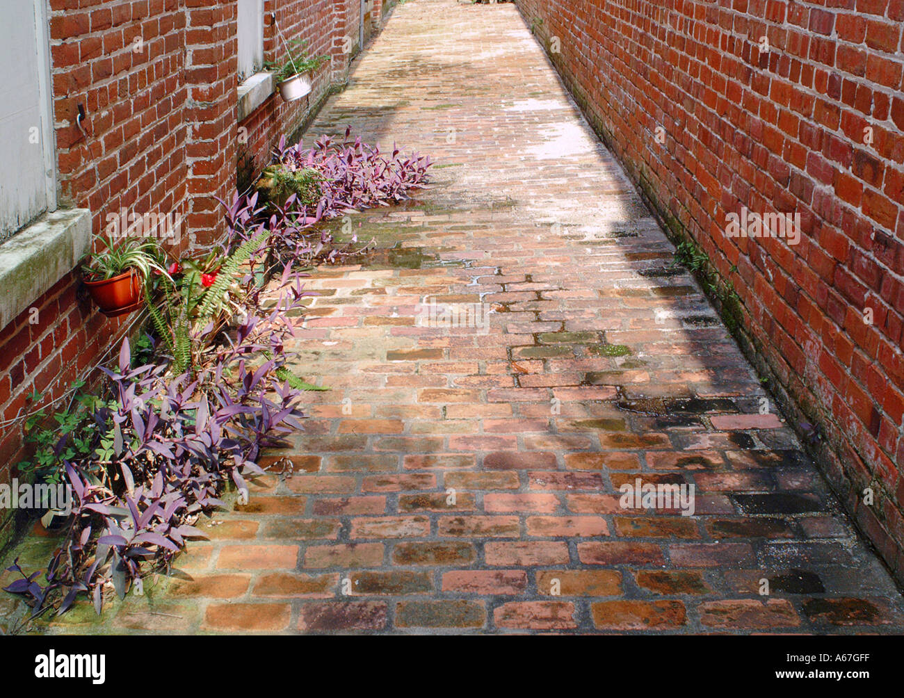 brick alley way bricks pathway between buildings Stock Photo - Alamy