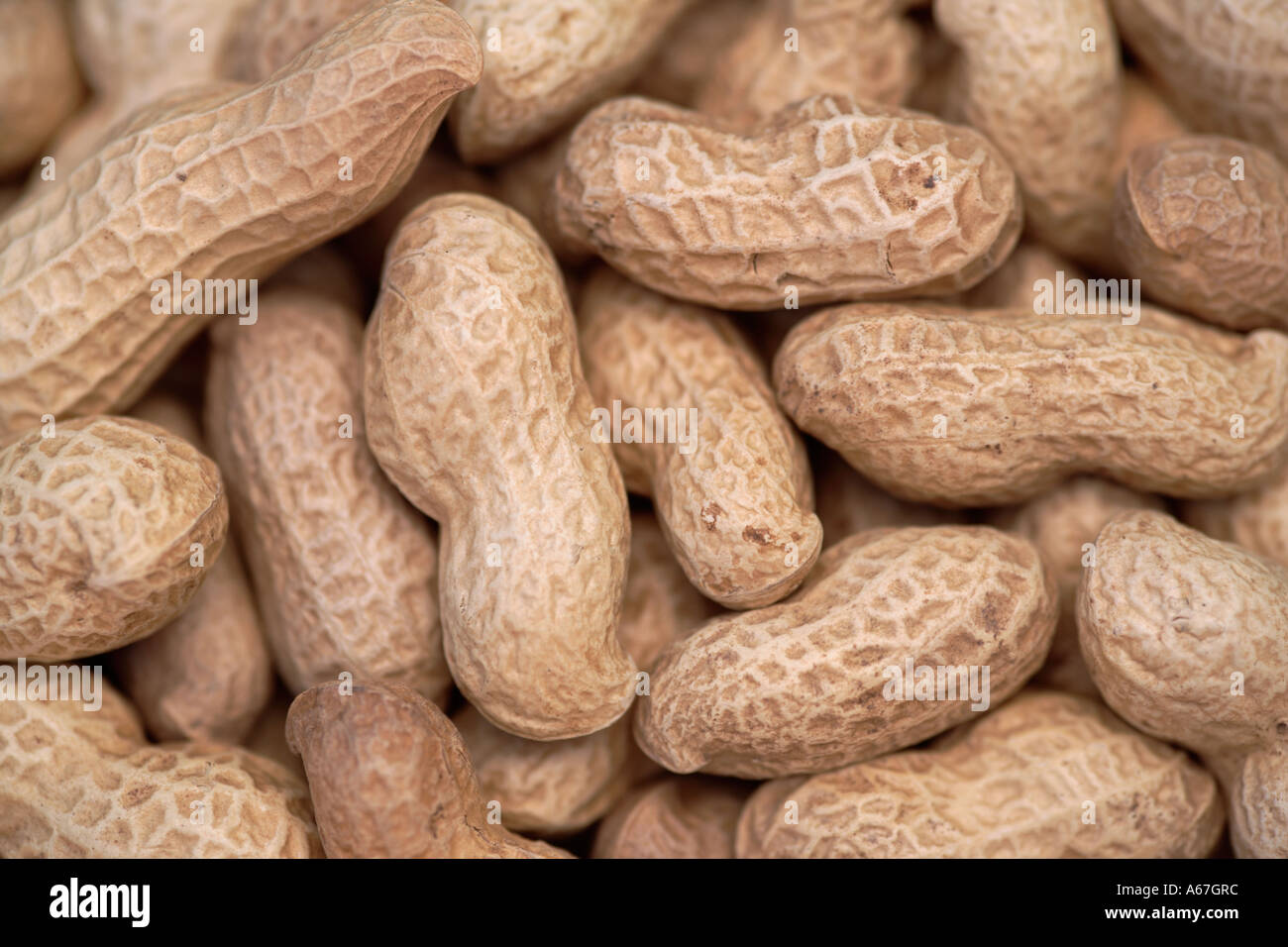 Close up of pile of Peanuts in shells Monkey Nuts Stock Photo - Alamy
