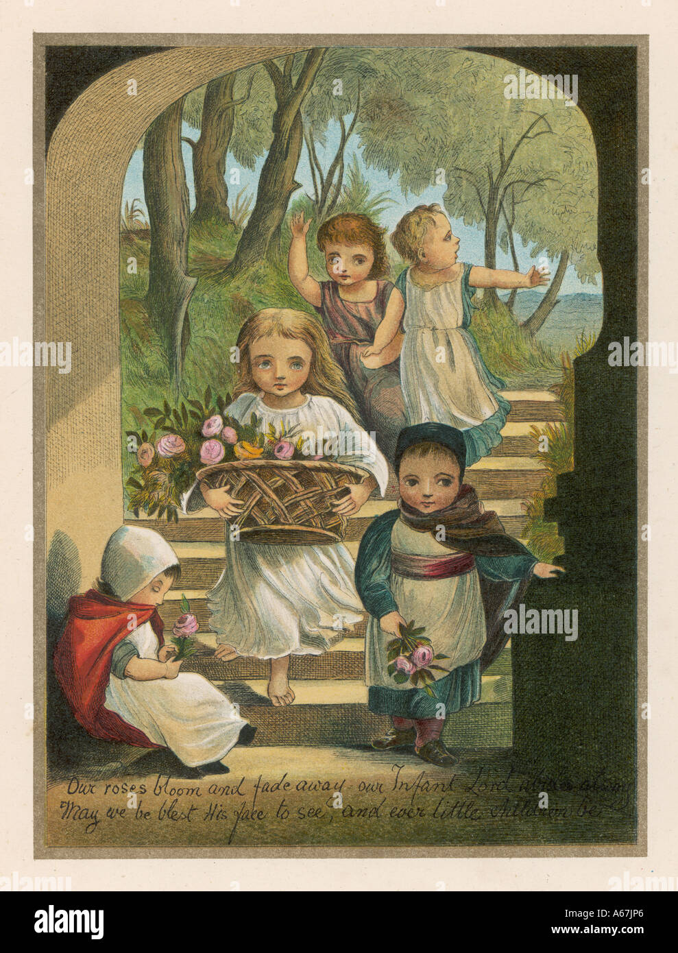Our Roses Bloom Boyle Stock Photo - Alamy