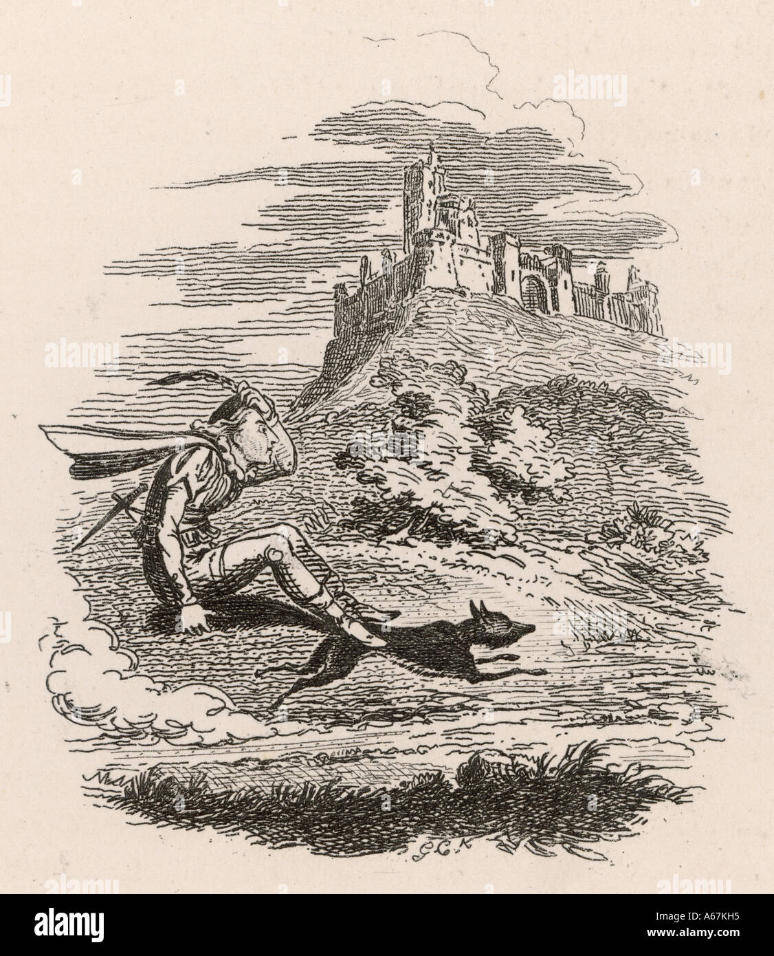 Golden bird hi-res stock photography and images - Alamy