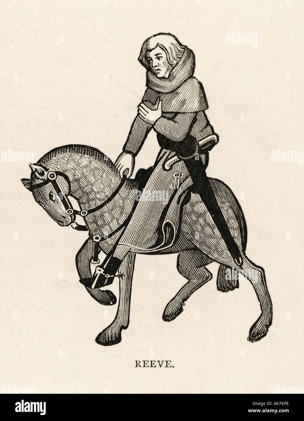 Reeve history hi-res stock photography and images - Alamy