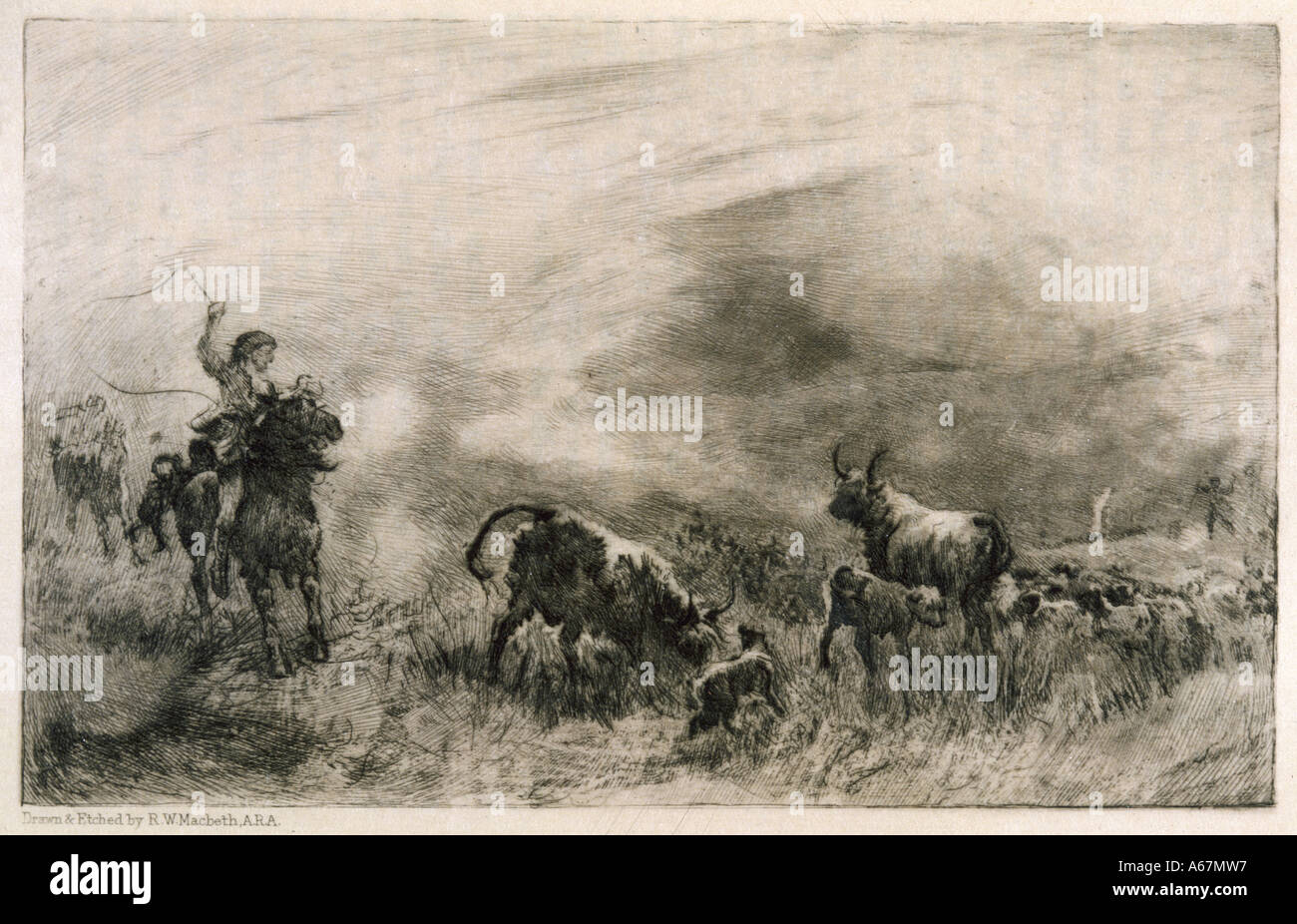 Rob Roy Stealing Cattle Stock Photo - Alamy