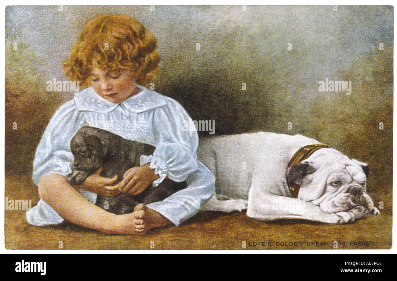 Dog Pup Child Stock Photo - Alamy