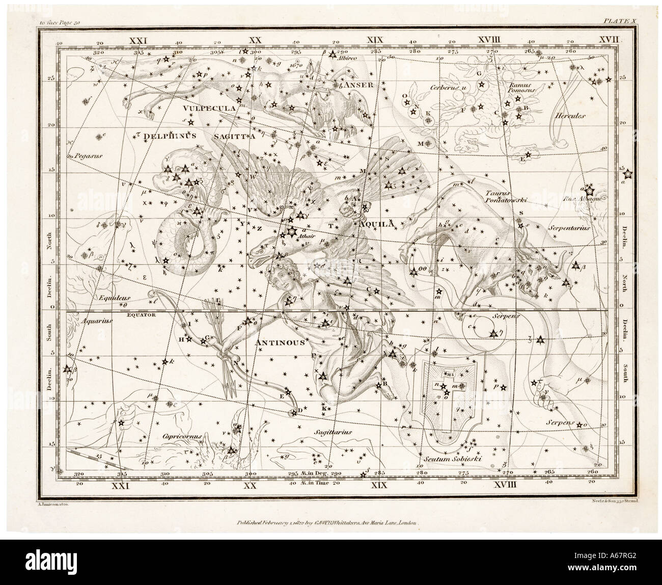 Aquila star hi-res stock photography and images - Alamy