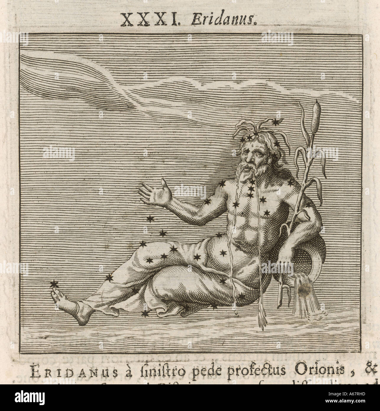 Eridanus hi-res stock photography and images - Alamy