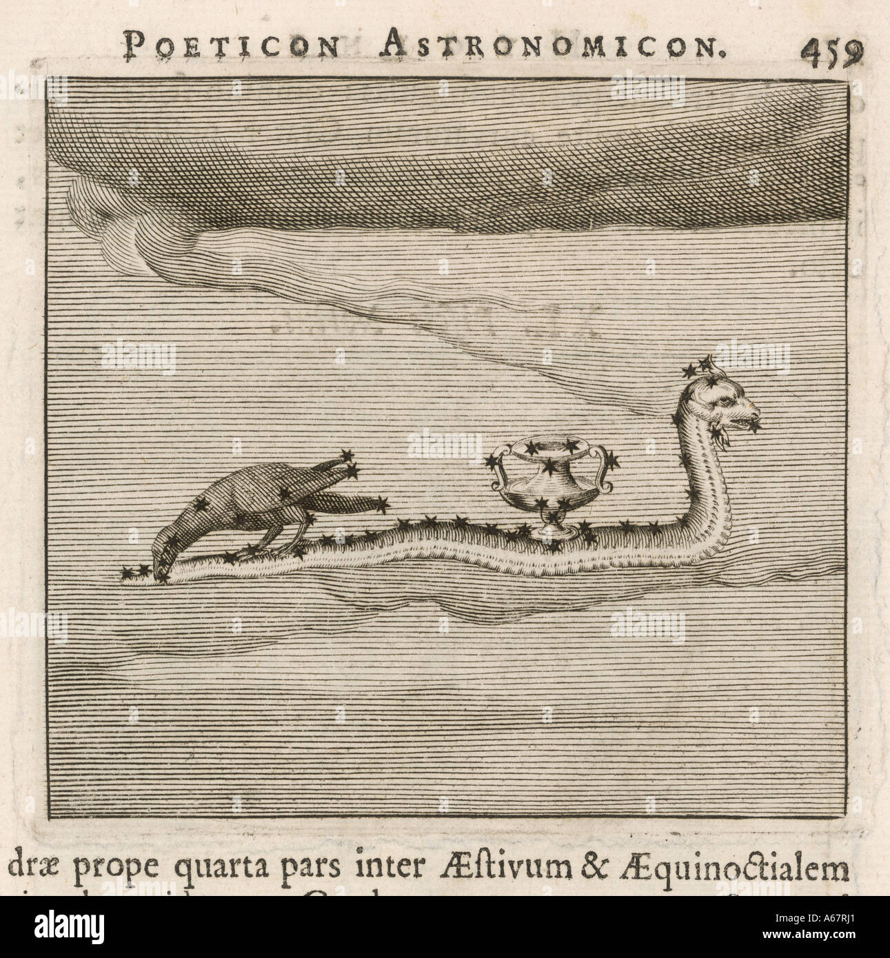 Hydra a hi-res stock photography and images - Alamy