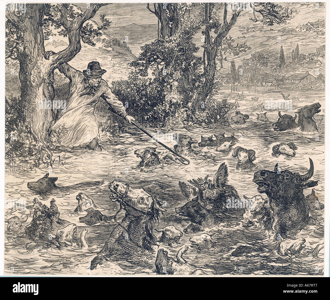 Animals In Flood Stock Photo - Alamy