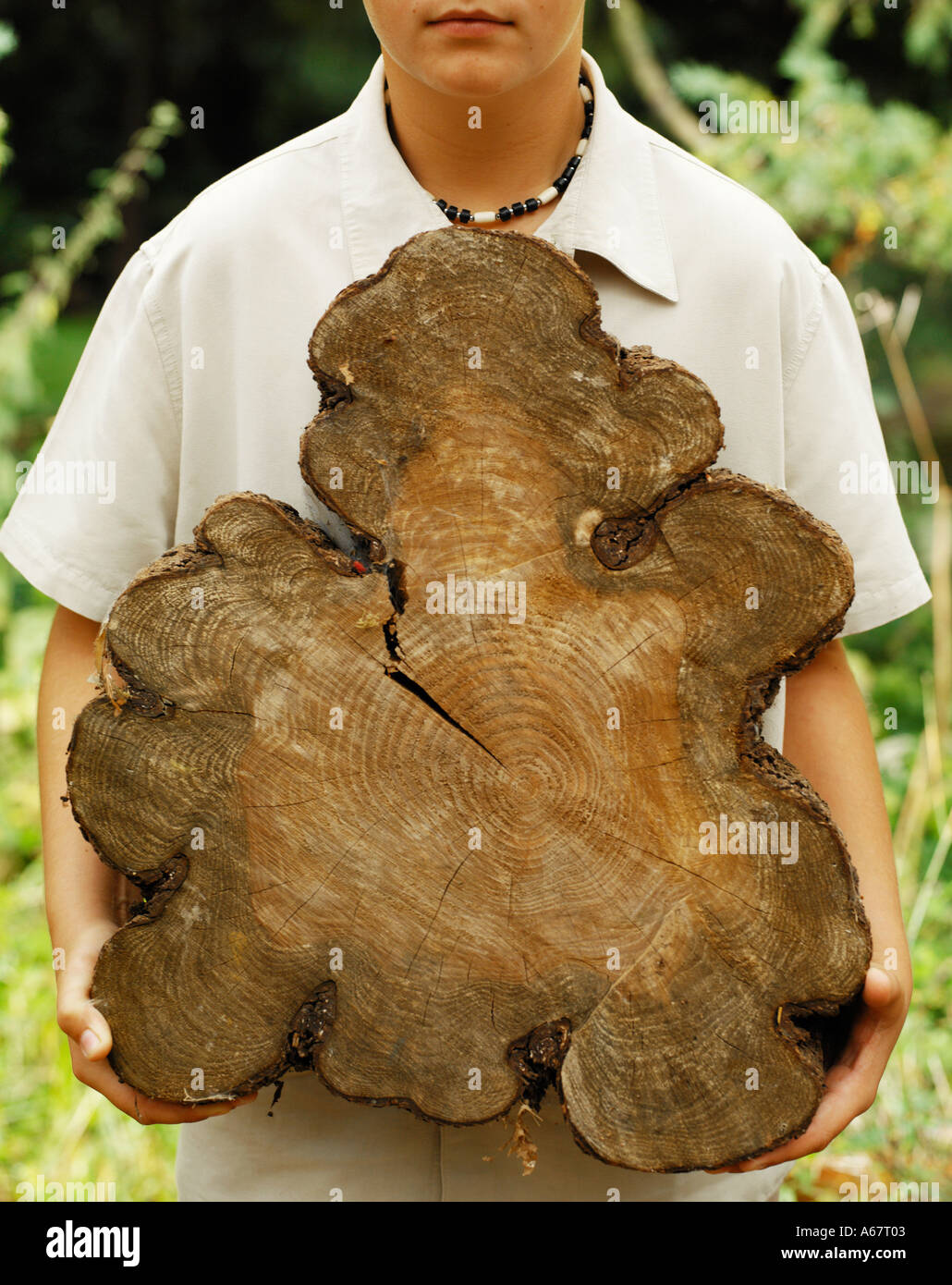 young boy holding tree trunk Stock Photo - Alamy