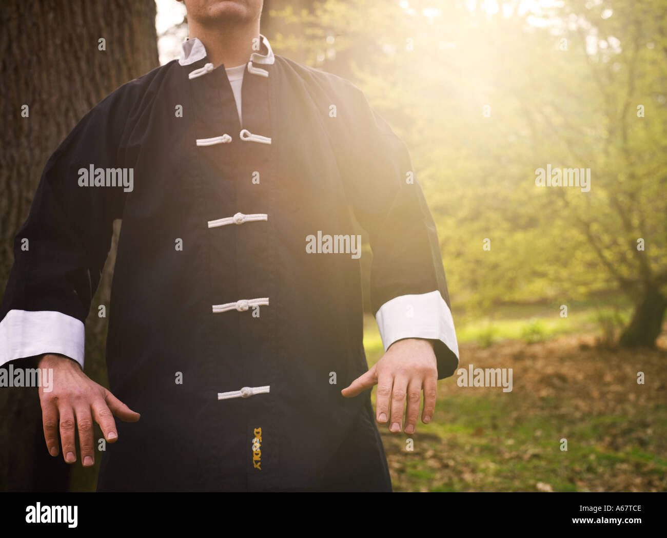 Tai chi exercise dance dance balance hi-res stock photography and ...