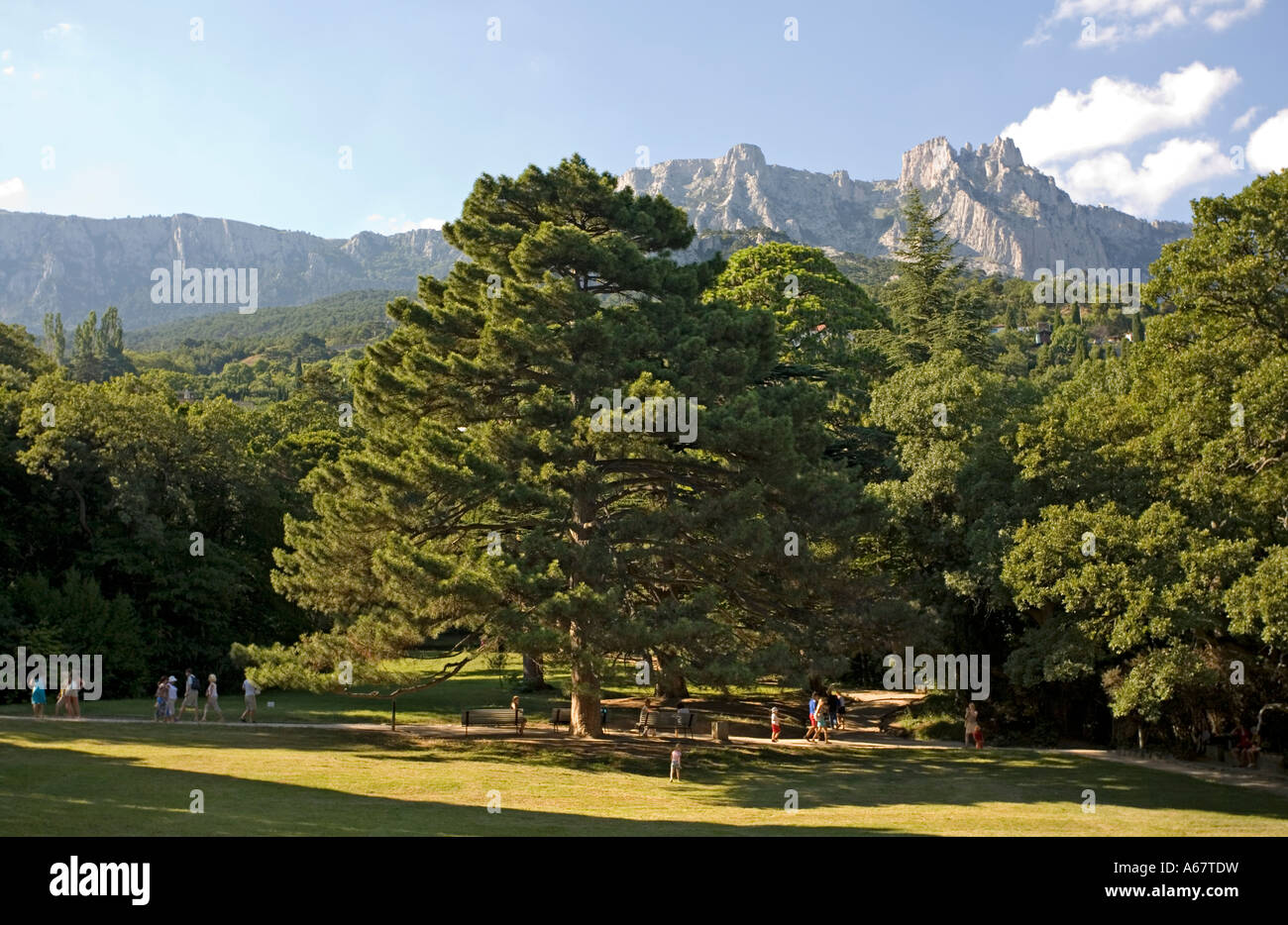 Park with old Trees at the Voroncov Palace, Jalta, Crimea, Ukraine ...