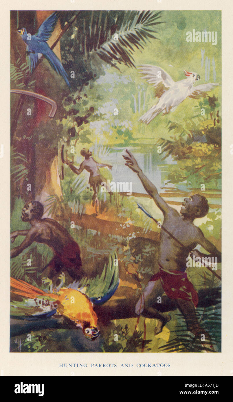 Spears hunting hi-res stock photography and images - Alamy