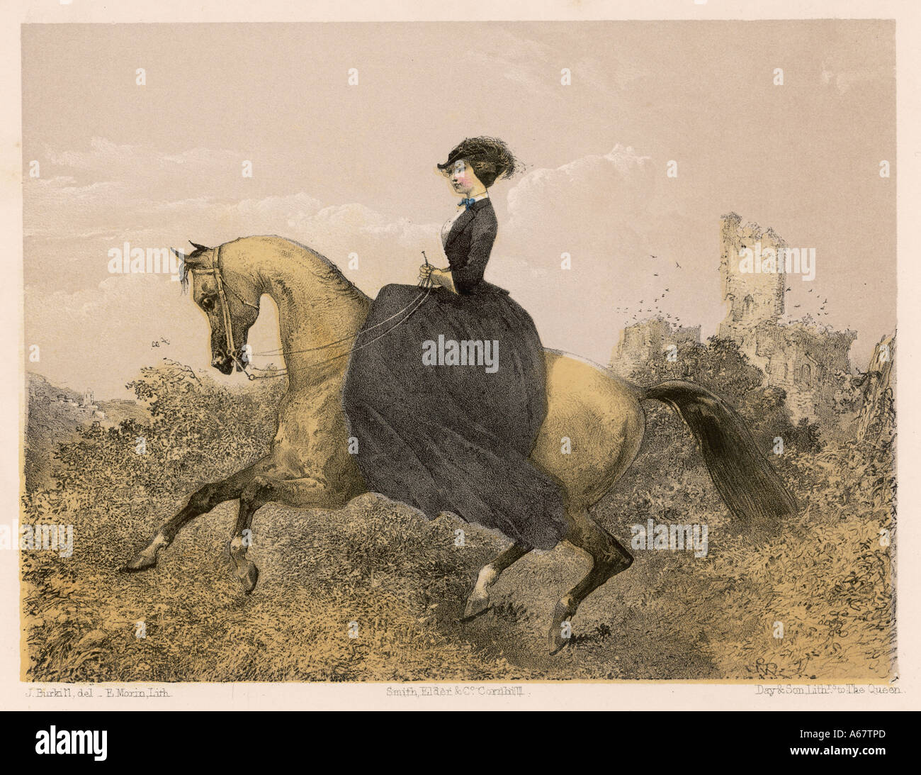 Lady Rider The Canter Stock Photo - Alamy