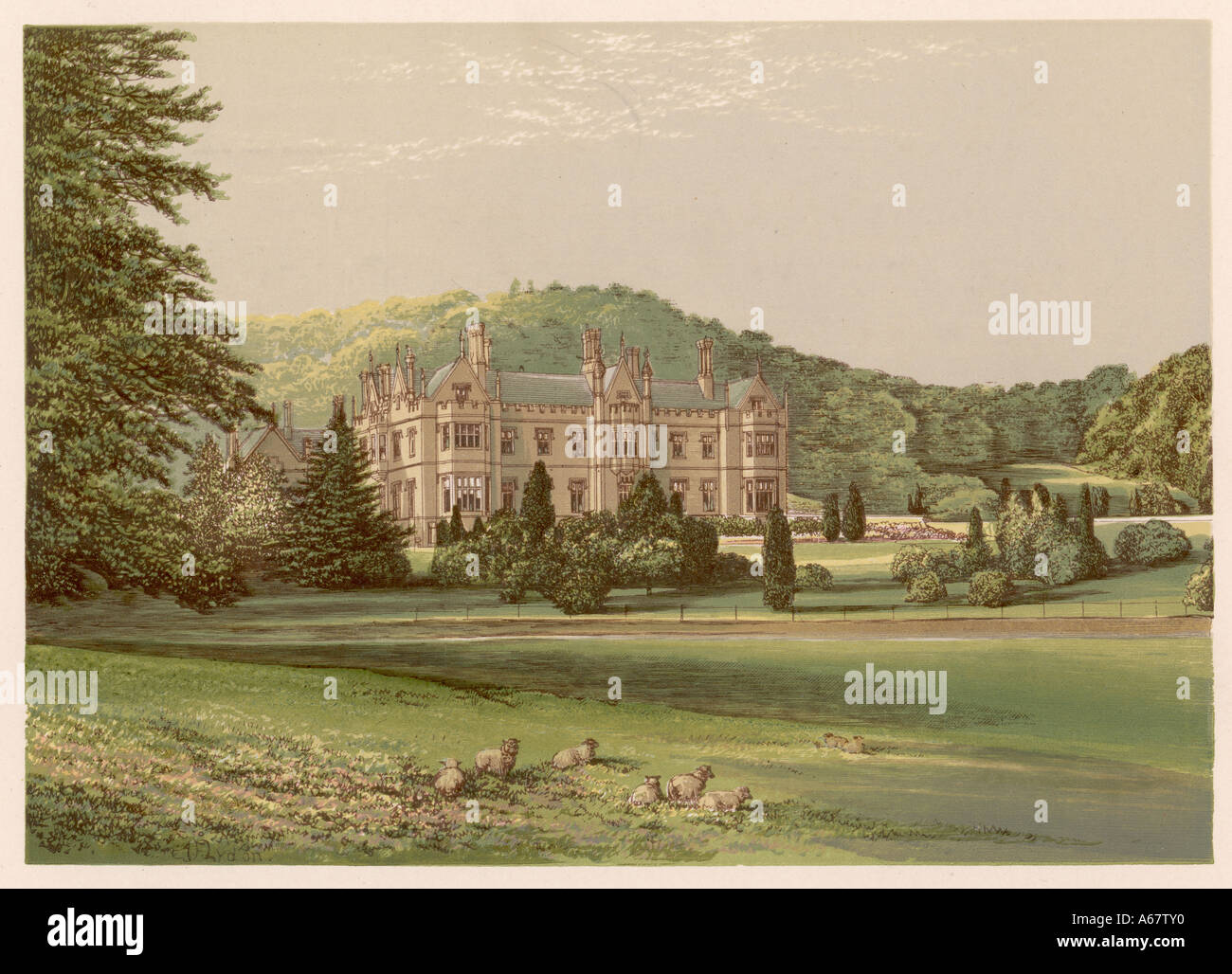 Mamhead, devon, england hi-res stock photography and images - Alamy