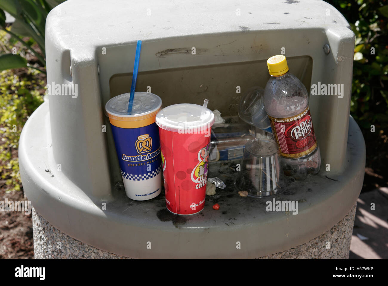 Miami Florida,Surfside,public trash can,overflowing,cups,plastic bottle ...