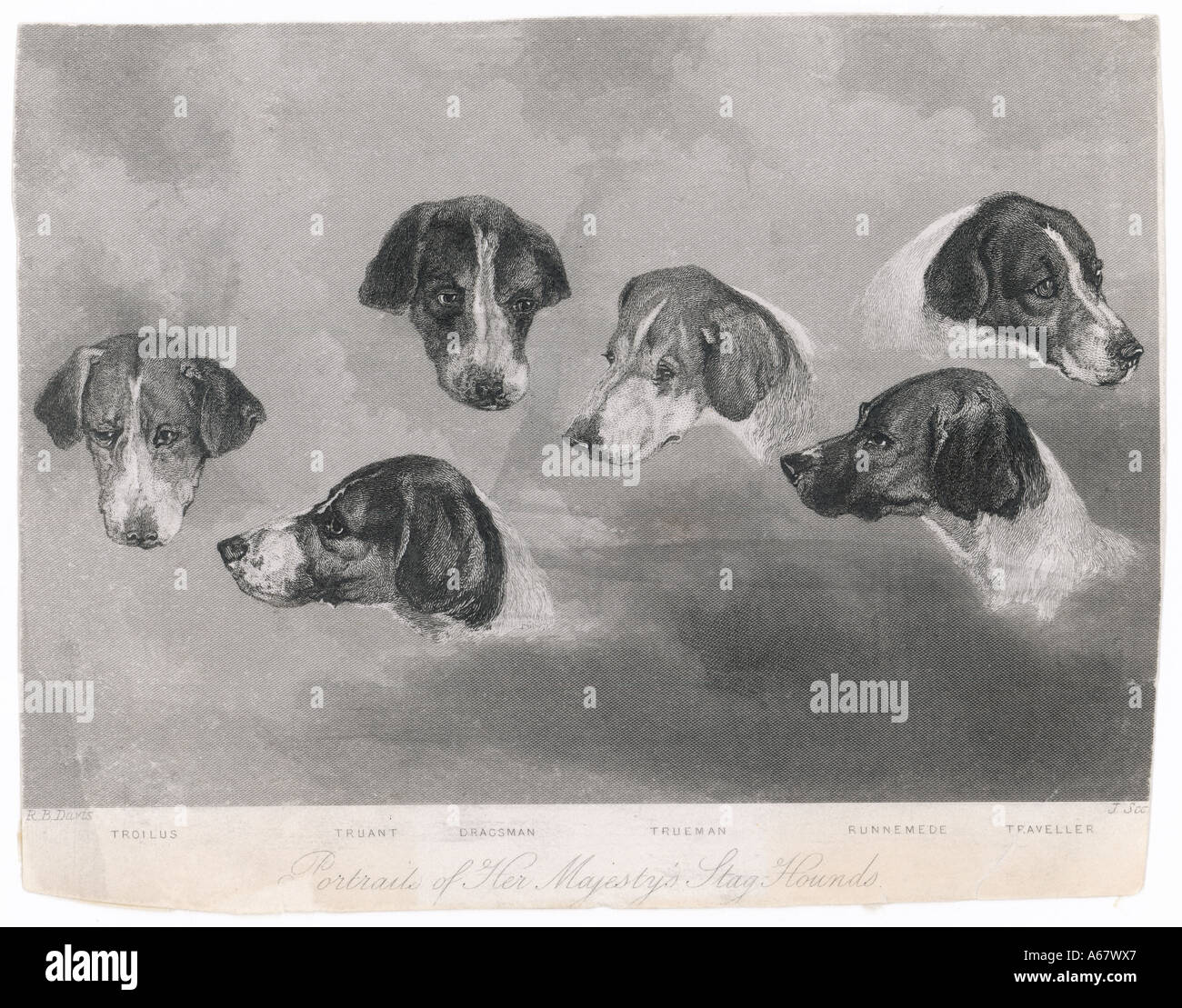 1850s portraits hi-res stock photography and images - Alamy