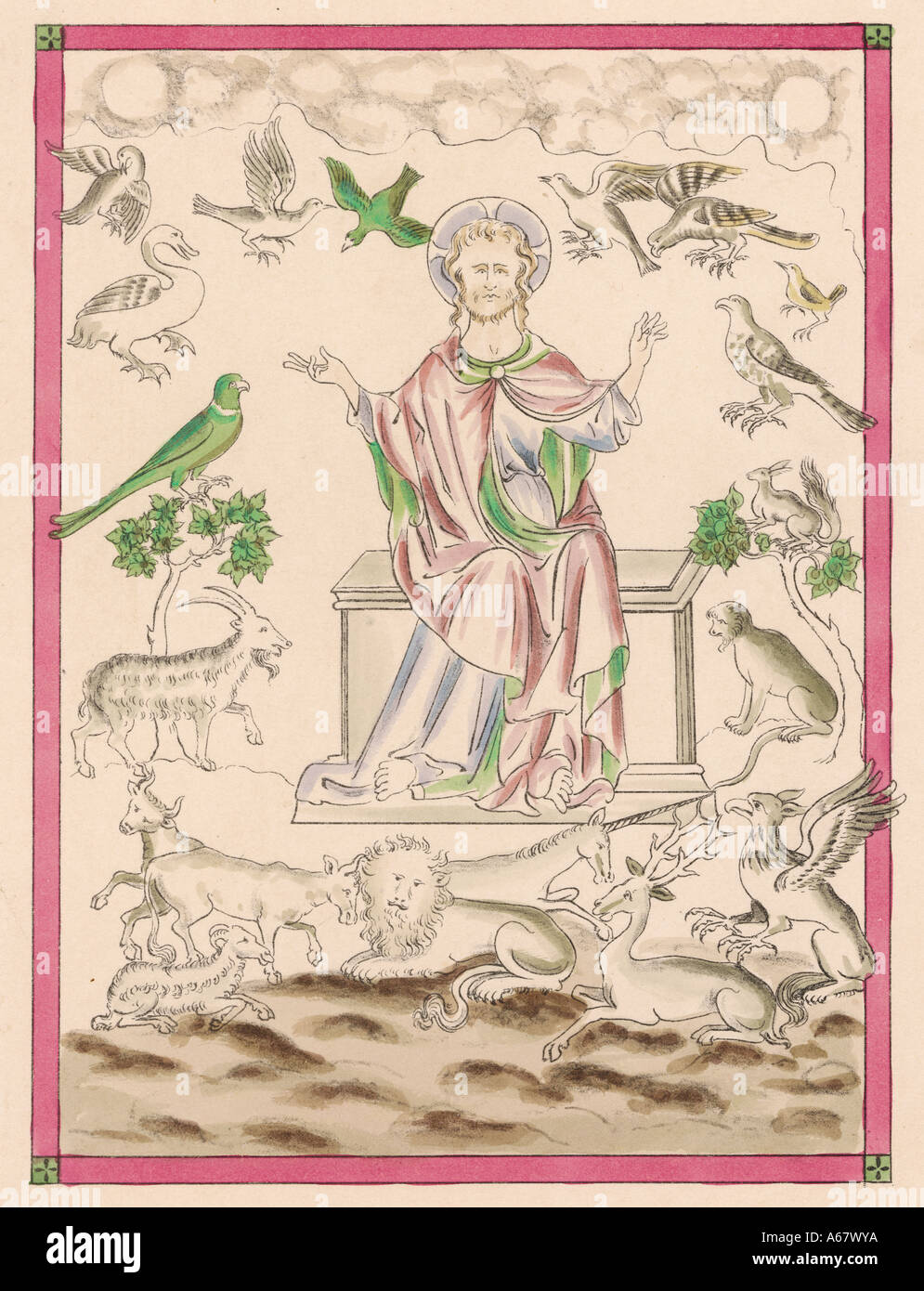 God creates the animal kingdom hi-res stock photography and images - Alamy