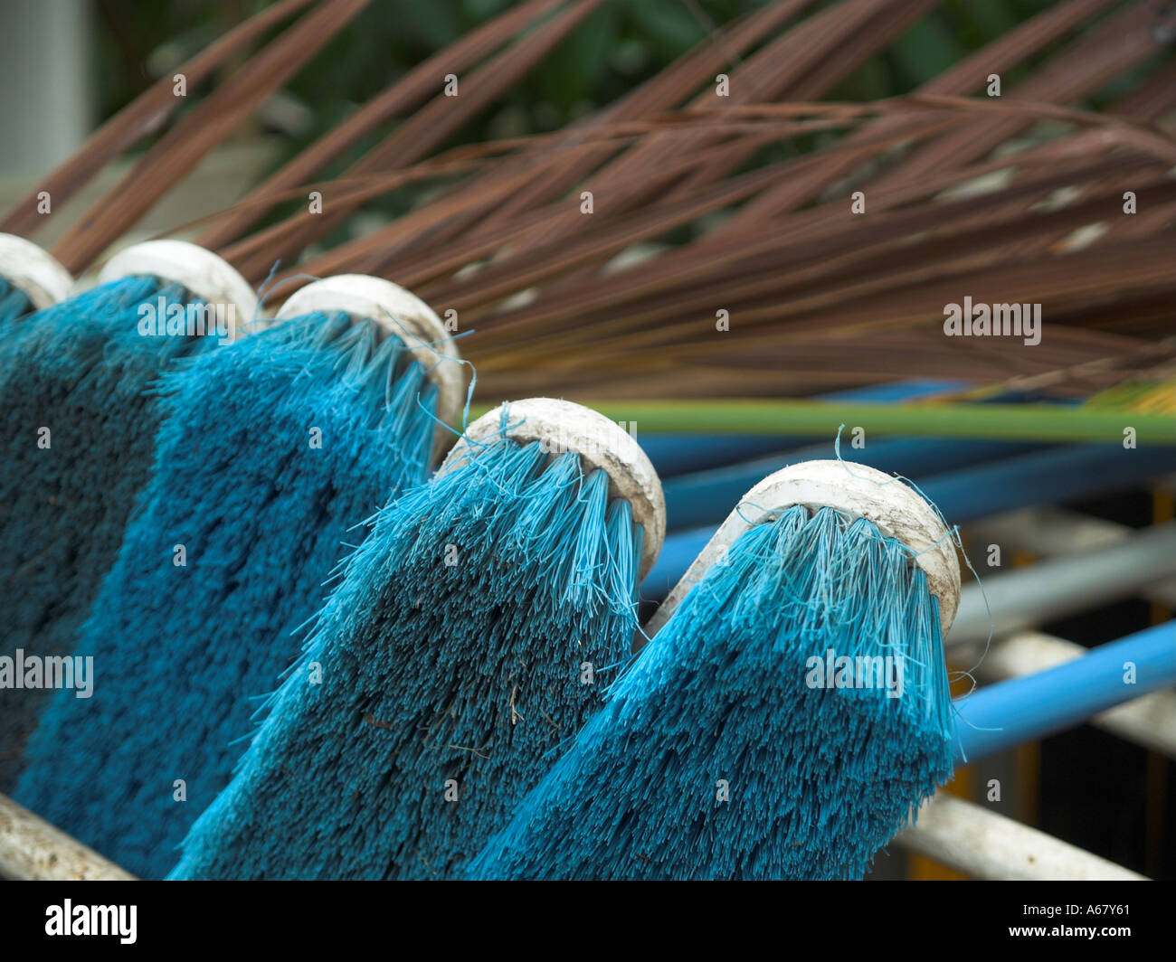 row of blue brushes Stock Photo - Alamy