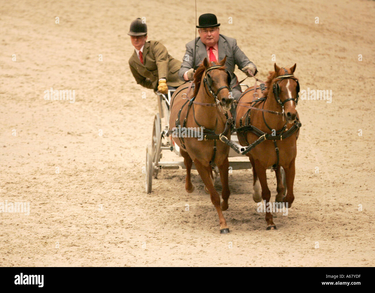 Pony club championships hi-res stock photography and images - Alamy