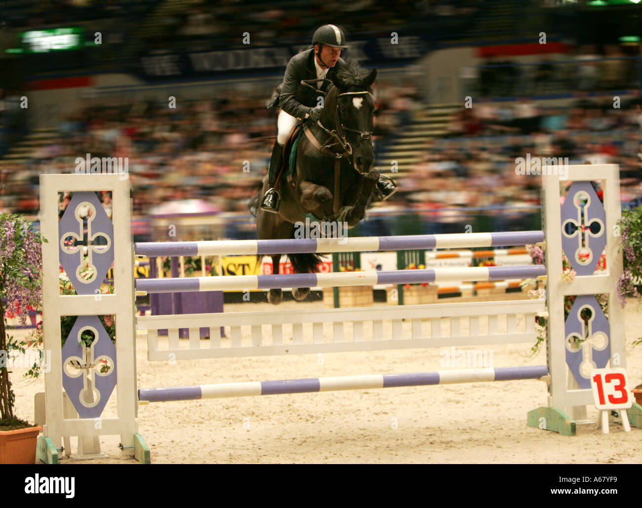 British showjumping team hi-res stock photography and images - Alamy