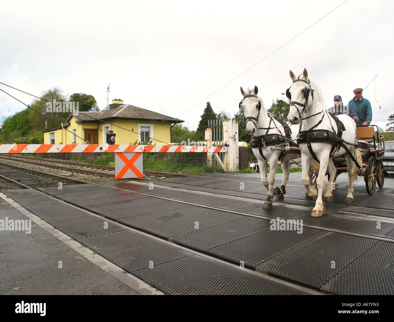 Horse drawn cart crossing railway line in the outskirts of Dublin ...