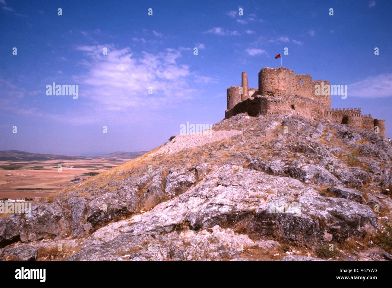 New don quixote hi-res stock photography and images - Alamy