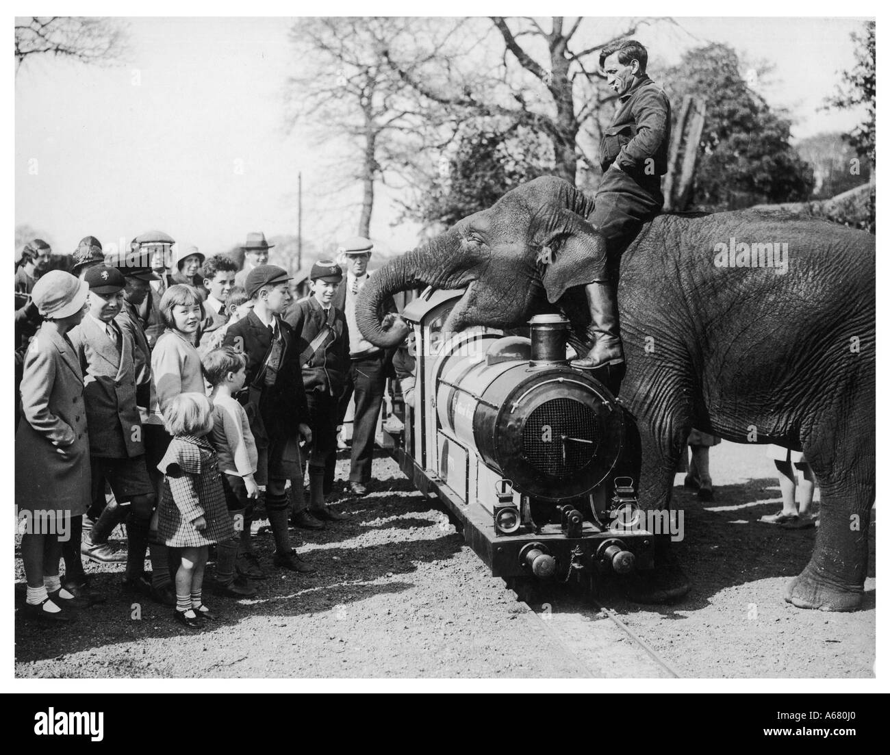 The elephant man Black and White Stock Photos & Images - Alamy