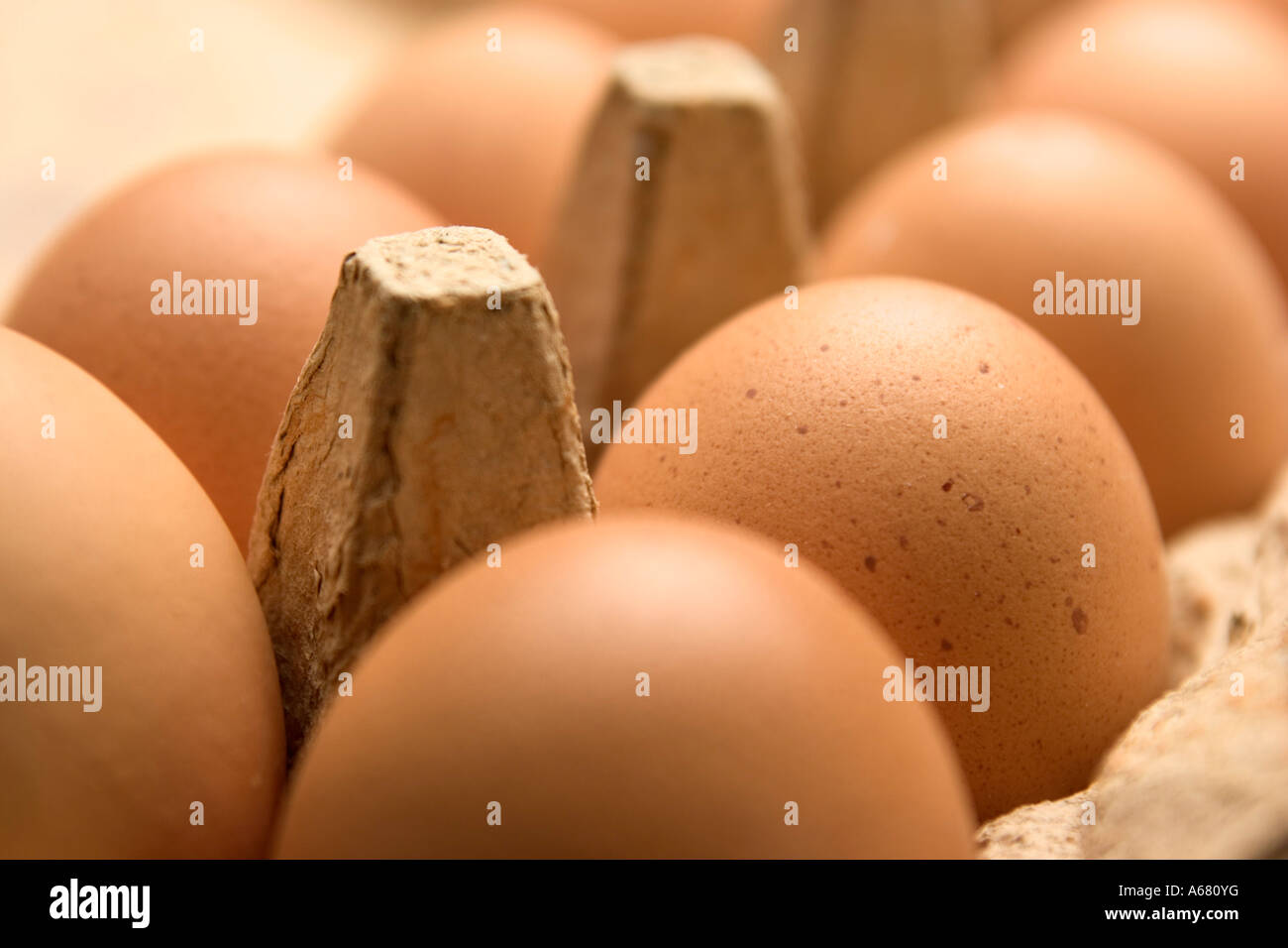 Cattle farming box hi-res stock photography and images - Alamy