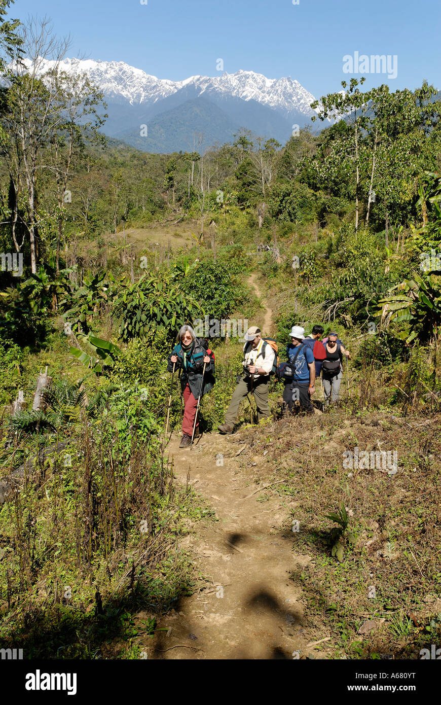 Trekking group hiking in Mula, Mulah river valley, Kachin State ...
