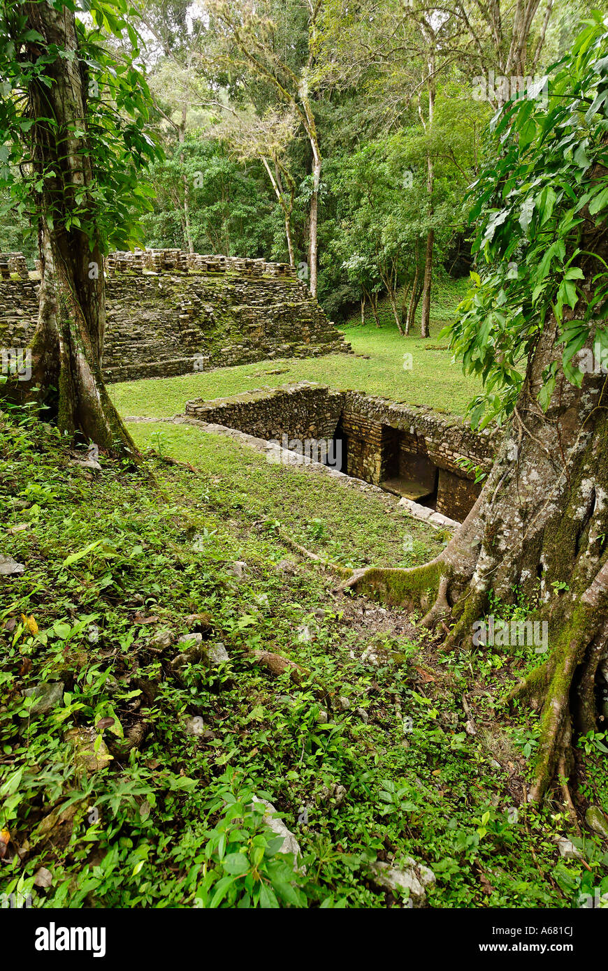 Yaxchilan, Selva Lacandona, Lakandonian Forest, Chiapas, Mexico Stock ...