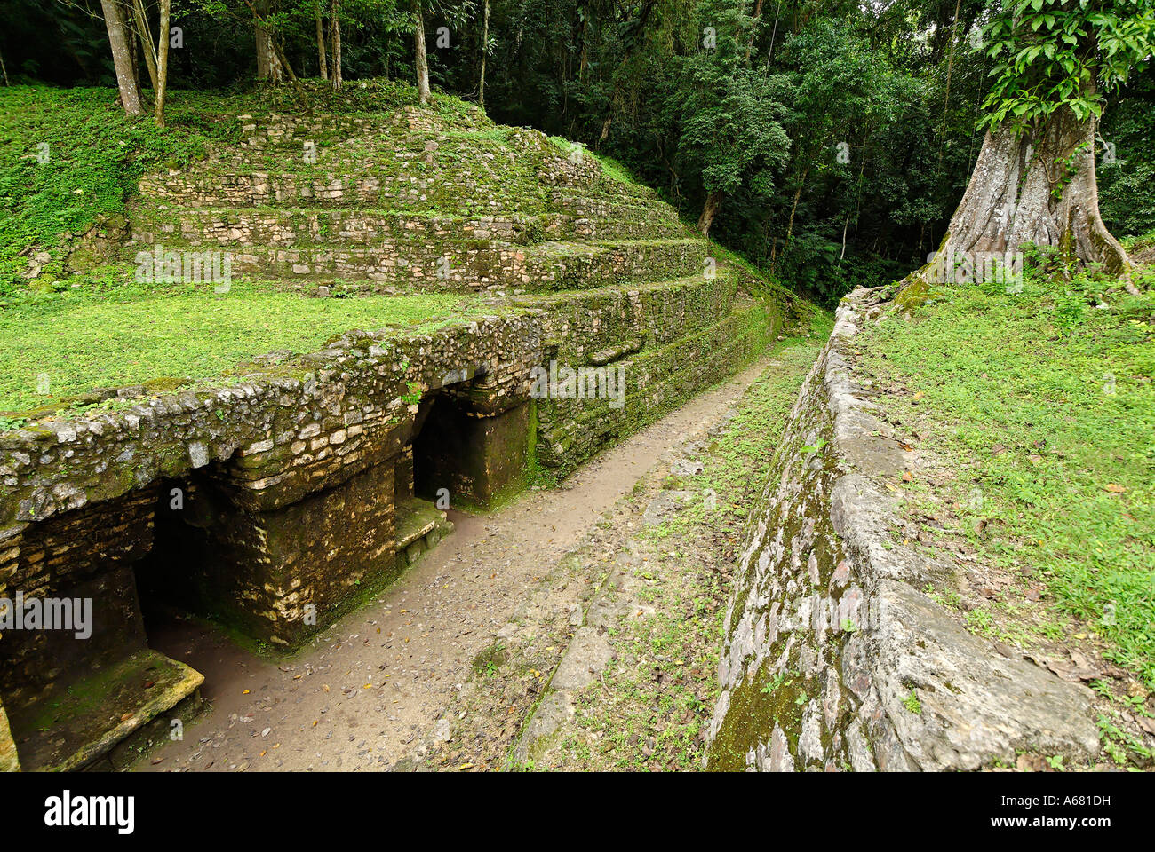 Yaxchilan, Selva Lacandona, Lakandonian Forest, Chiapas, Mexico Stock ...