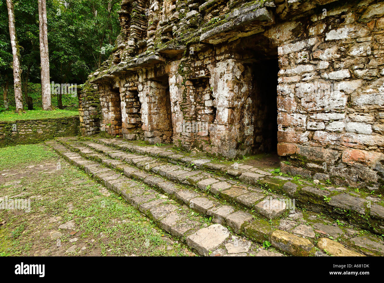 Yaxchilan, Selva Lacandona, Lakandonian Forest, Chiapas, Mexico Stock ...