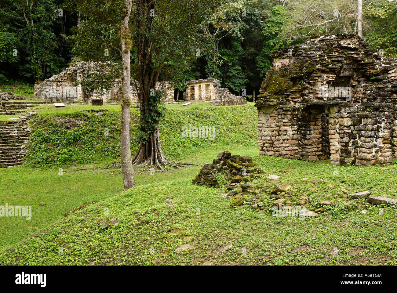 Maya site Yaxchilan, Selva Lacandona, Lakandonian Forest, Chiapas ...