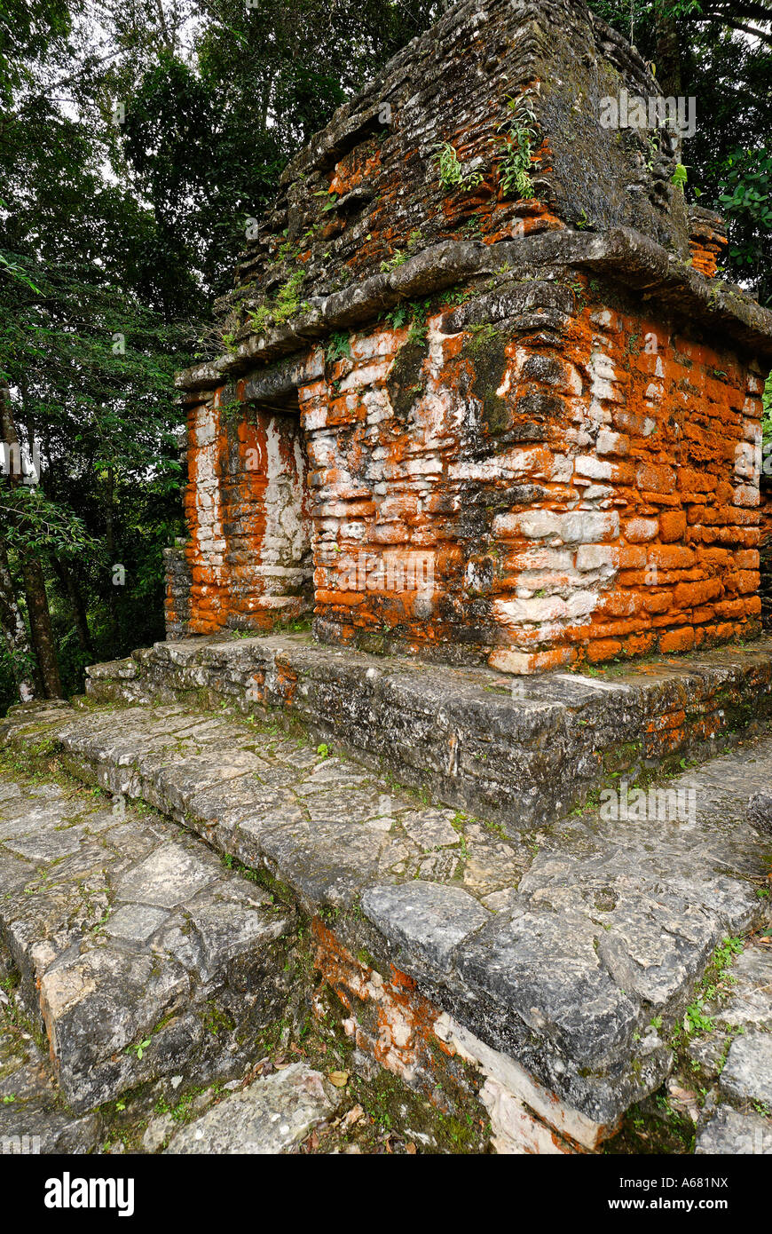 Maya site Bonampak, Selva Lacandona, Lakandonian Forest, Chiapas ...