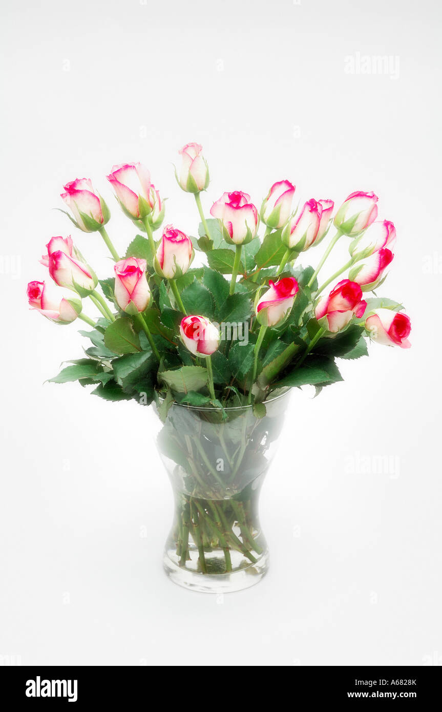 Bouquet of roses Stock Photo - Alamy