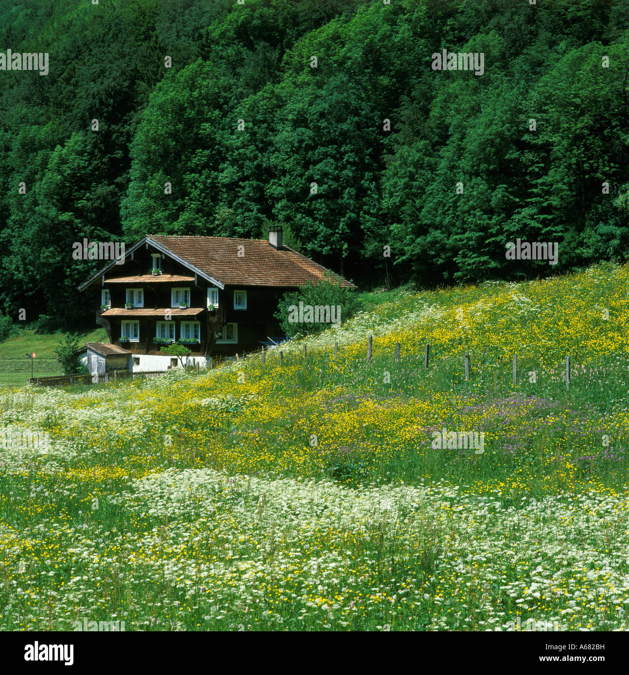 Farm house near Ried in the Muota valley canton of Schwyz Switzerland ...
