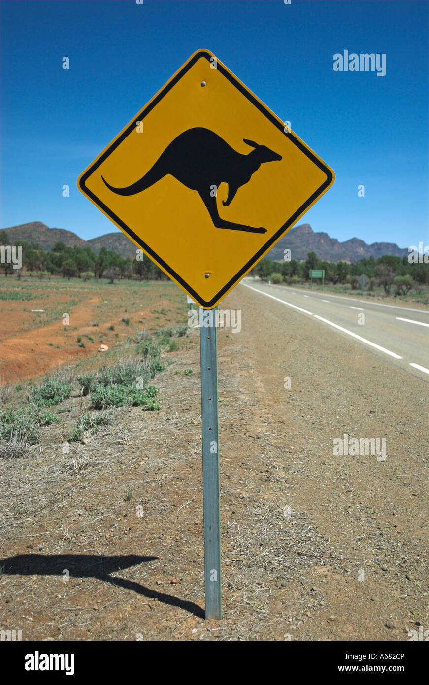 Road sign warning of kangaroos, Flinders Ranges, South Australia ...