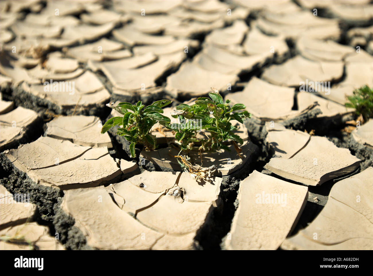 Drought australia hi-res stock photography and images - Alamy
