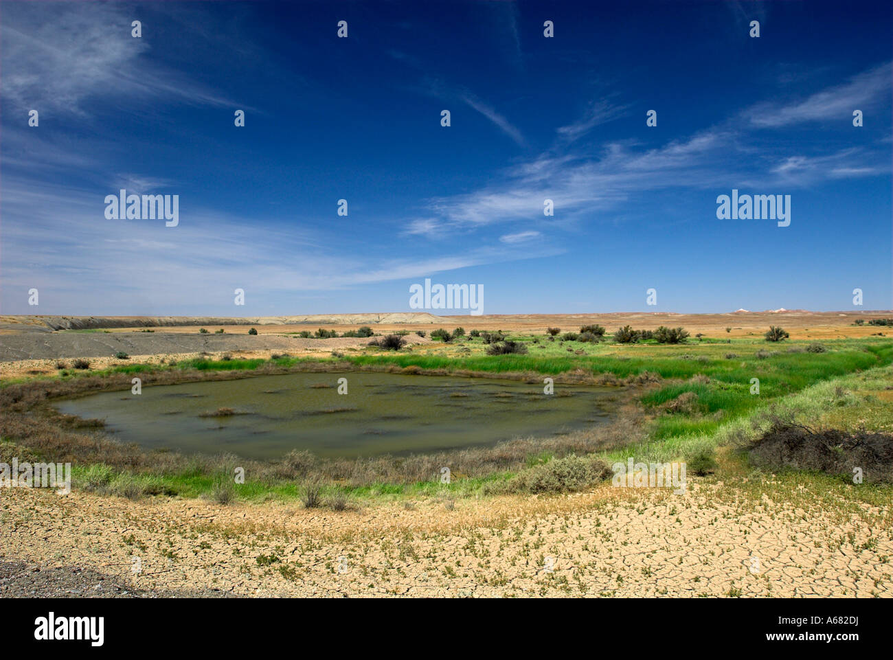 Water hole in the outback near Coober Pedy, South Australia, Australia ...