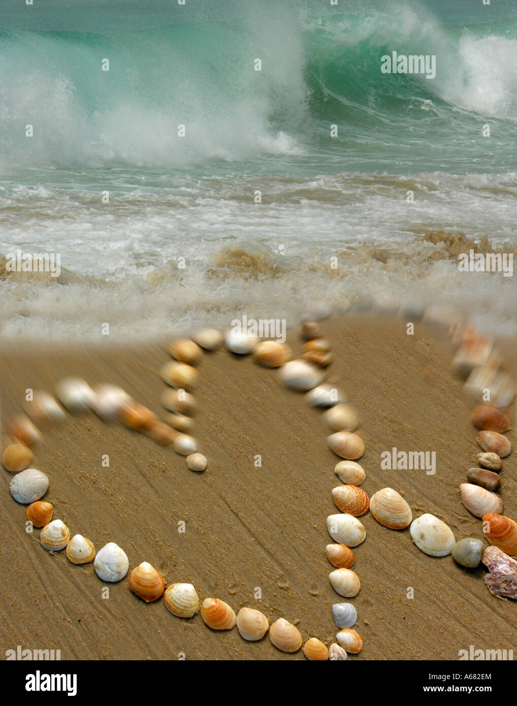 Shells Heart At Beach