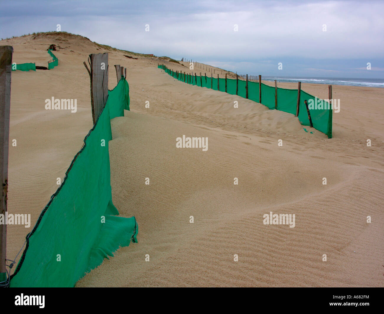 Protection fence against sand drifts on a beach Stock Photo - Alamy