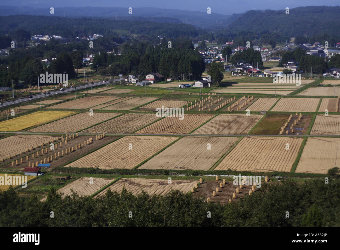 Rice fields, Japan Stock Photo - Alamy