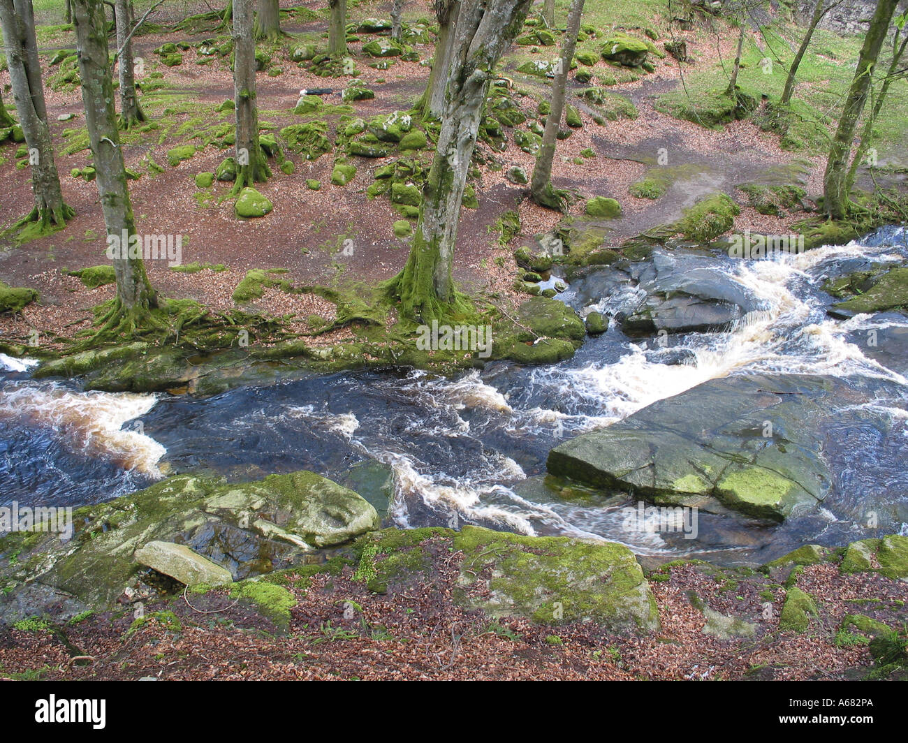 Attractive birds eye view autumn hi-res stock photography and images ...
