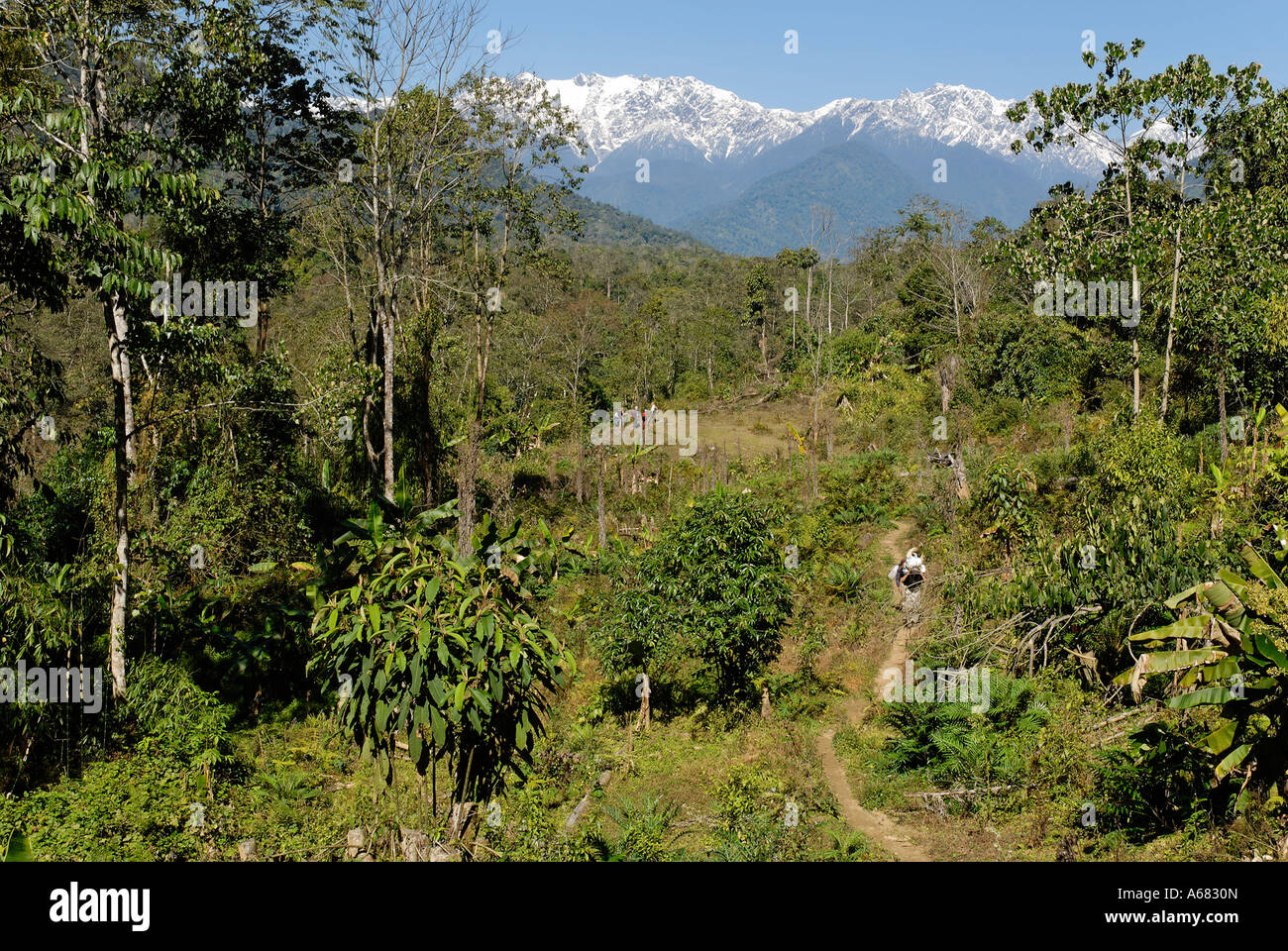 Trekking group hiking in Mula, Mulah river valley, Kachin State ...