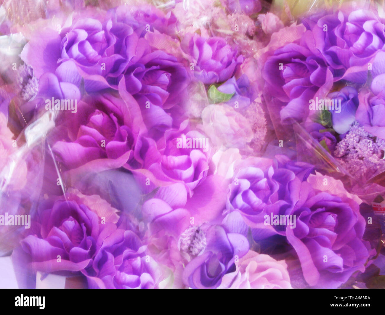 purple flower arrangement Stock Photo - Alamy